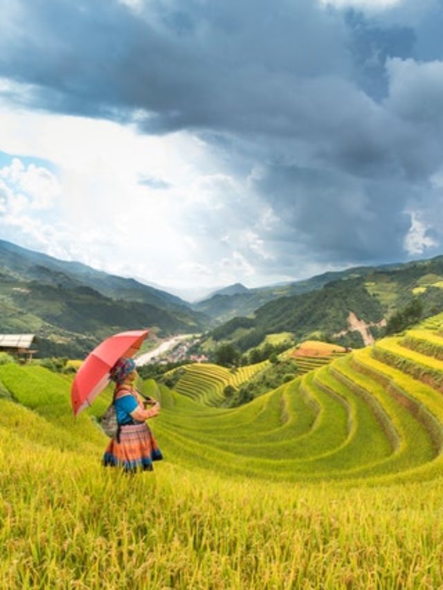 The Most Calmest zodiac signs – Morning Lazziness