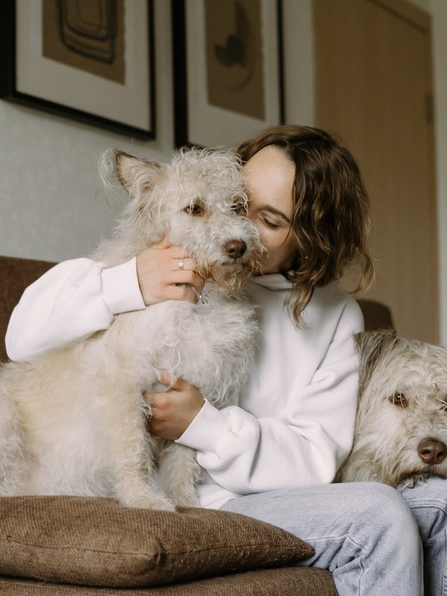 Zodiac Signs and Their Spirit Animals – Morning Lazziness