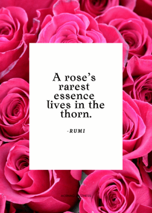 50 Beautiful Quotes On The Natural Beauty Of Flowers - Morning Lazziness