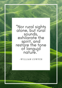 60 Enthralling Quotes about the Countryside To Enliven Your Spirits ...