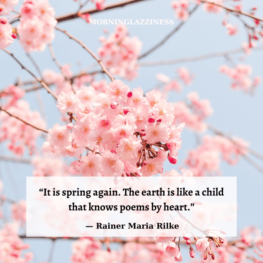 50 Best Spring Quotes To Appreciate The Beauty Of Little Things Around ...