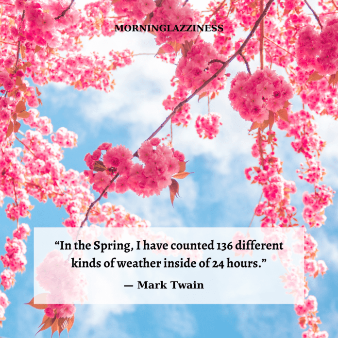 50 Best Spring Quotes To Appreciate The Beauty Of Little Things Around ...