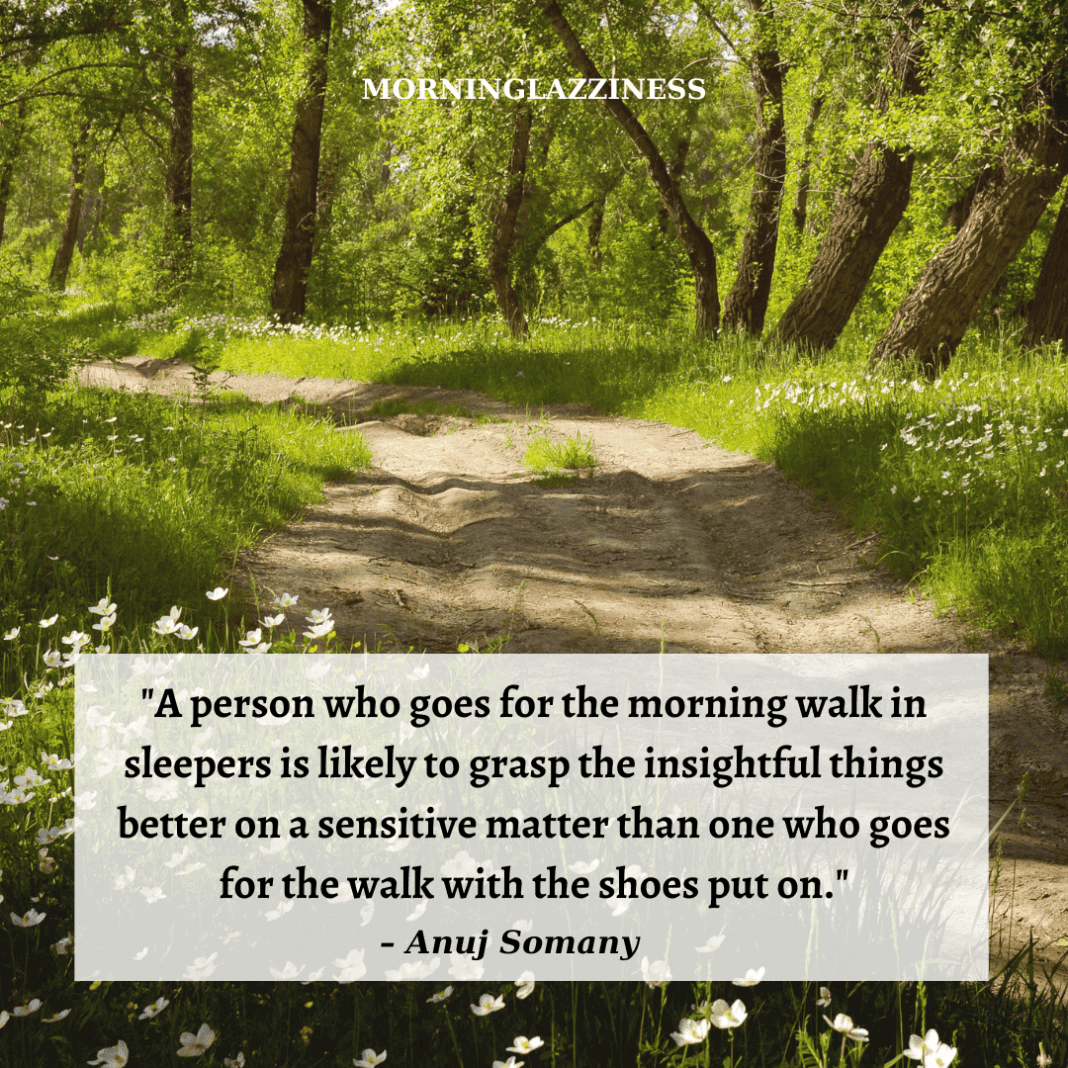 60 Best Morning Walk Quotes To Recharge Your Body And Feel Stimulated ...