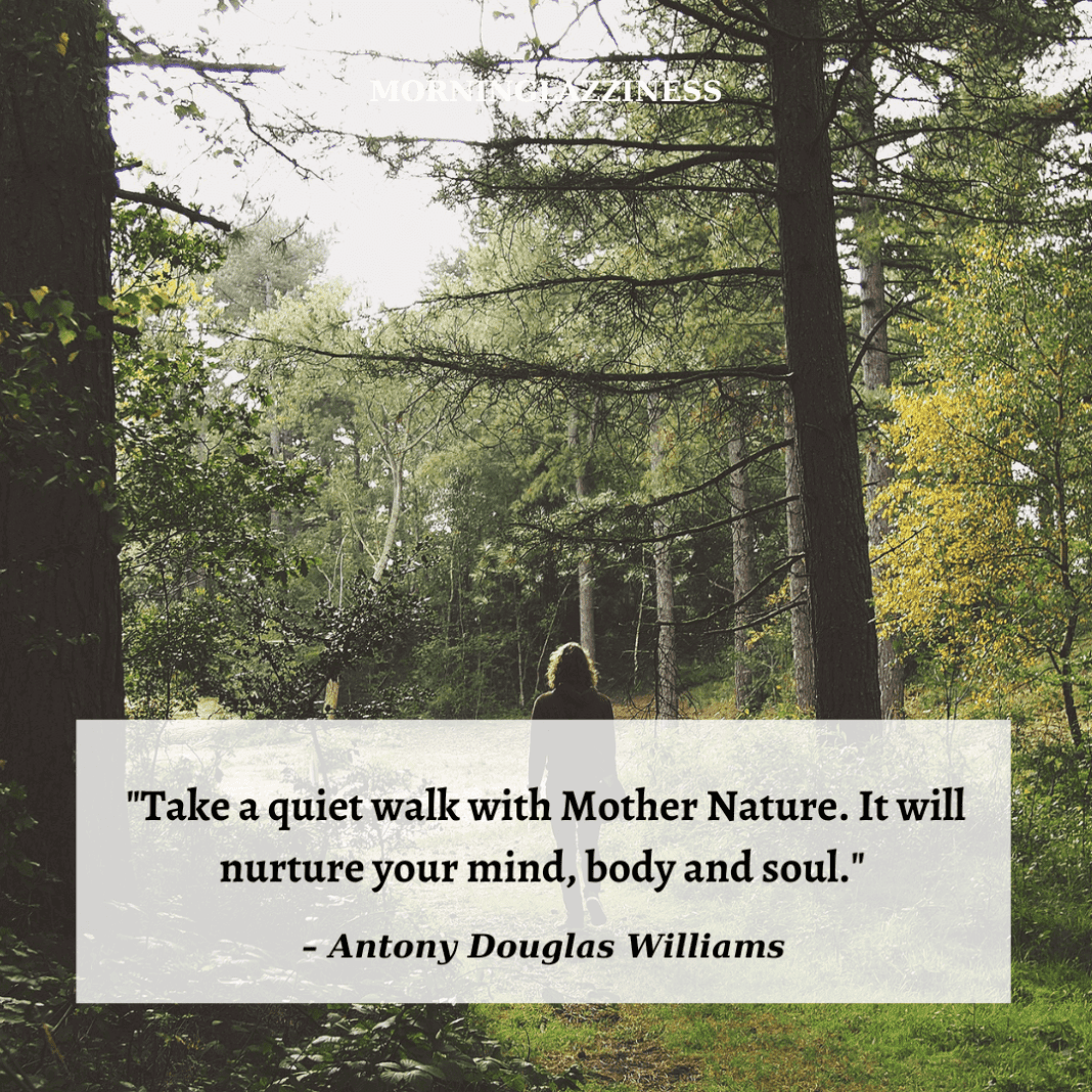 60 Best Morning Walk Quotes To Recharge Your Body And Feel Stimulated ...