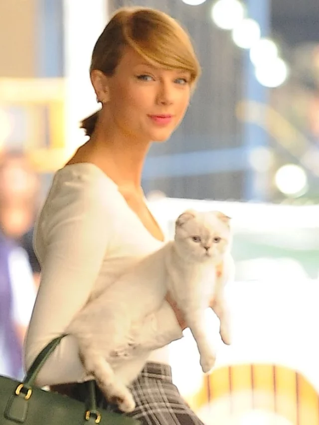 10 Expensive Things Owned By Taylor Swift – Morning Lazziness