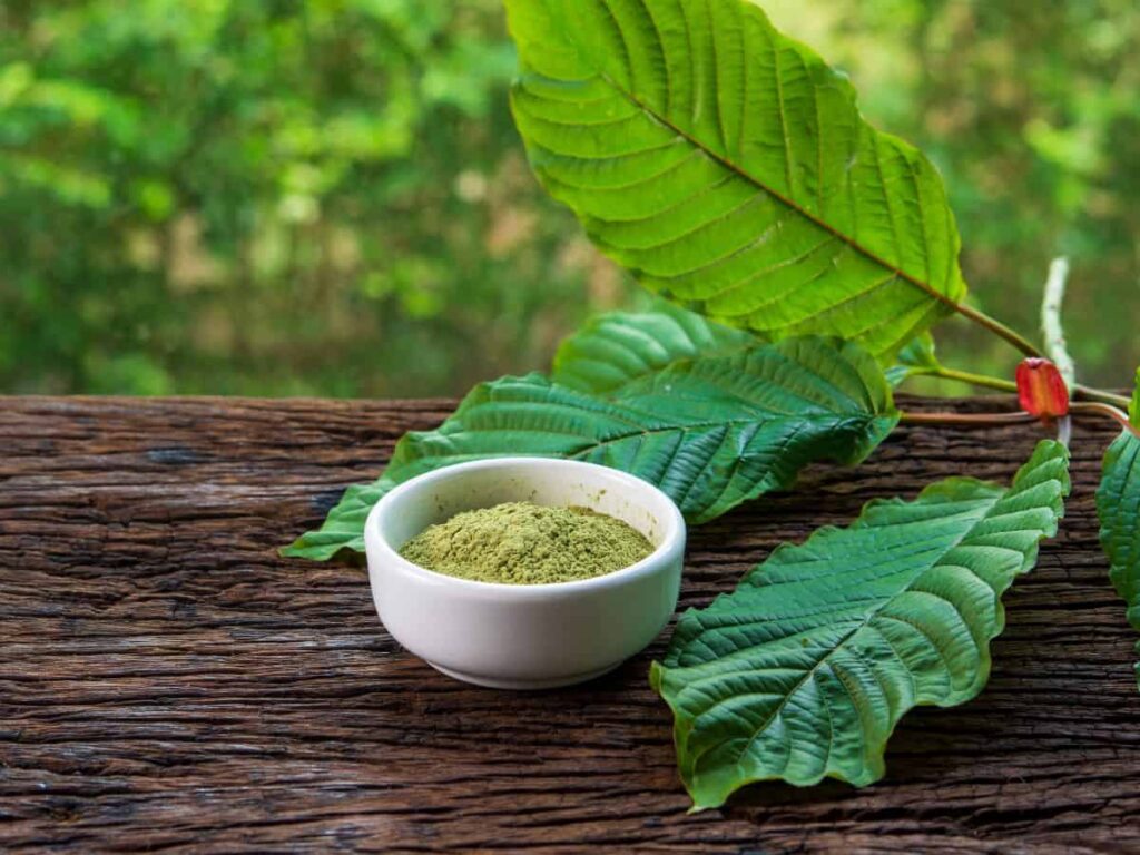 White Dragon Kratom: The Best Kratom For Your Wellness Goals? - Morning ...